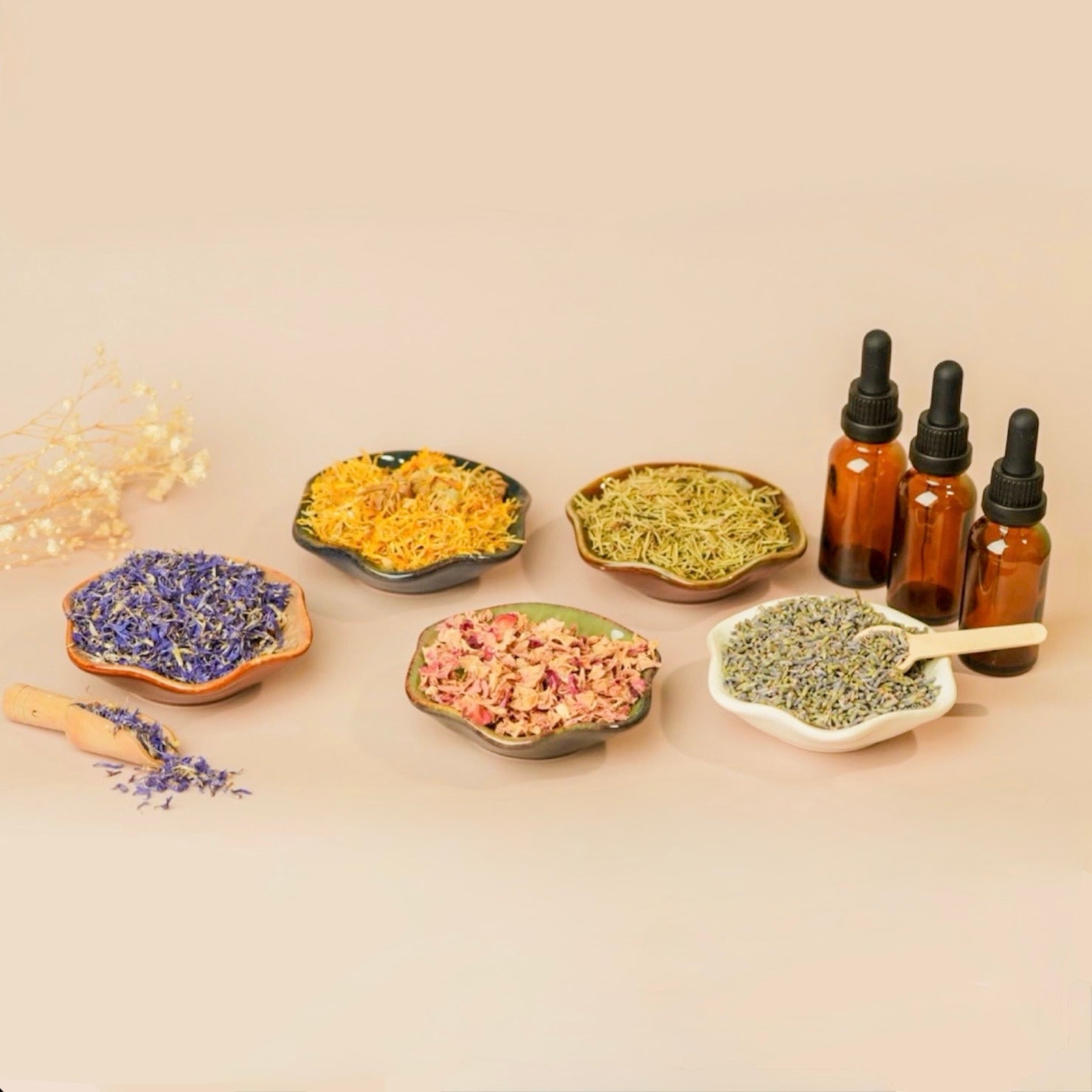 Essential Oils – Natural Aromatherapy & Wellness Solutions – Bulk Naturals