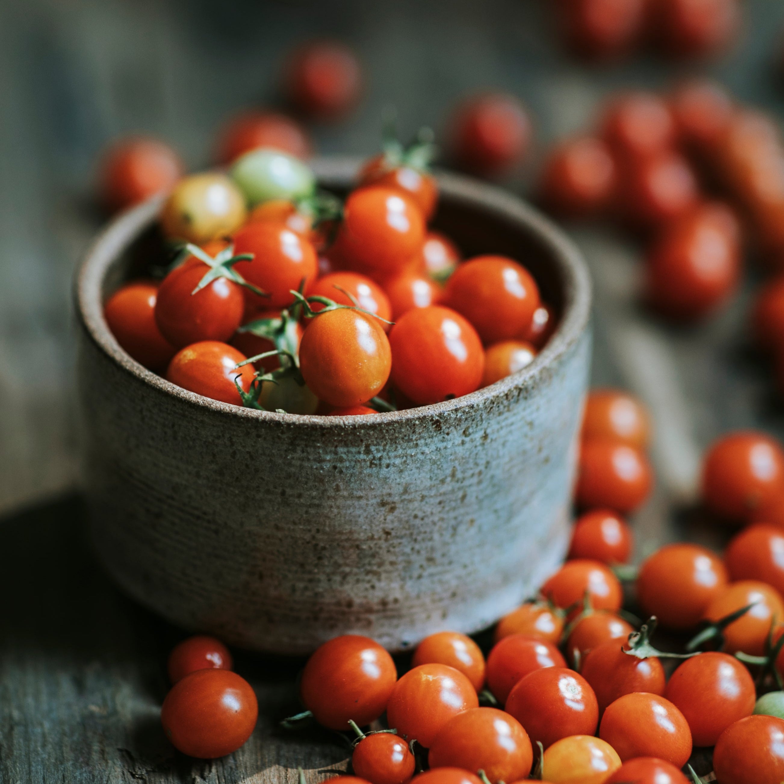 20% Lycopene Liquid Extract - Oil Soluble – Bulk Naturals