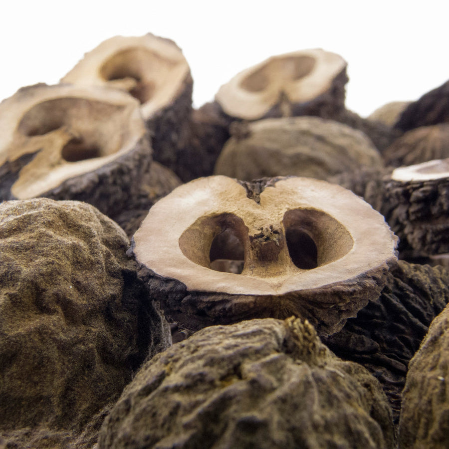 Black Walnut Shell Scrub, 30/60 MESH – Natural Exfoliant – Bulk Naturals