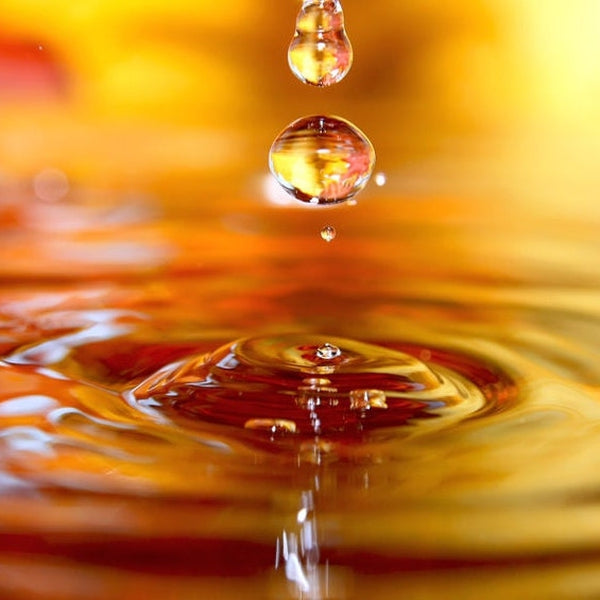 Manuka Honey Extract - Oil Soluble – Bulk Naturals