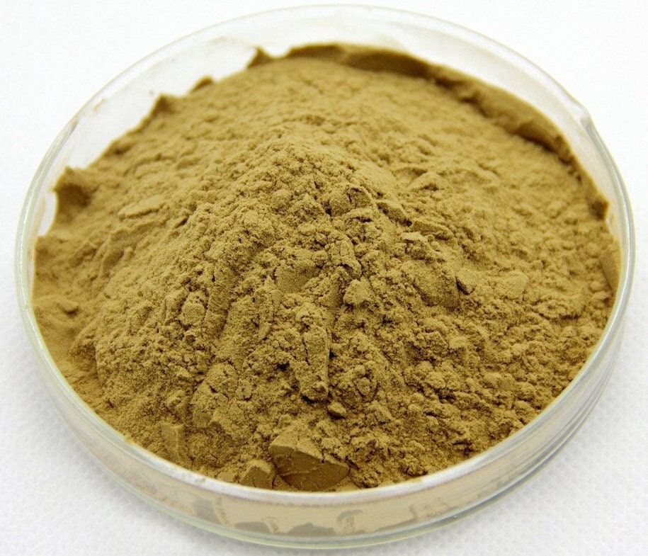 Olive Leaf Extract Powder – Bulk Naturals